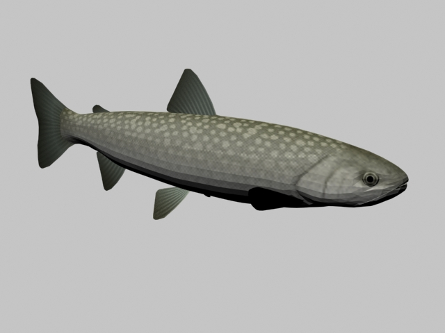 3D Models – 3D-LABS